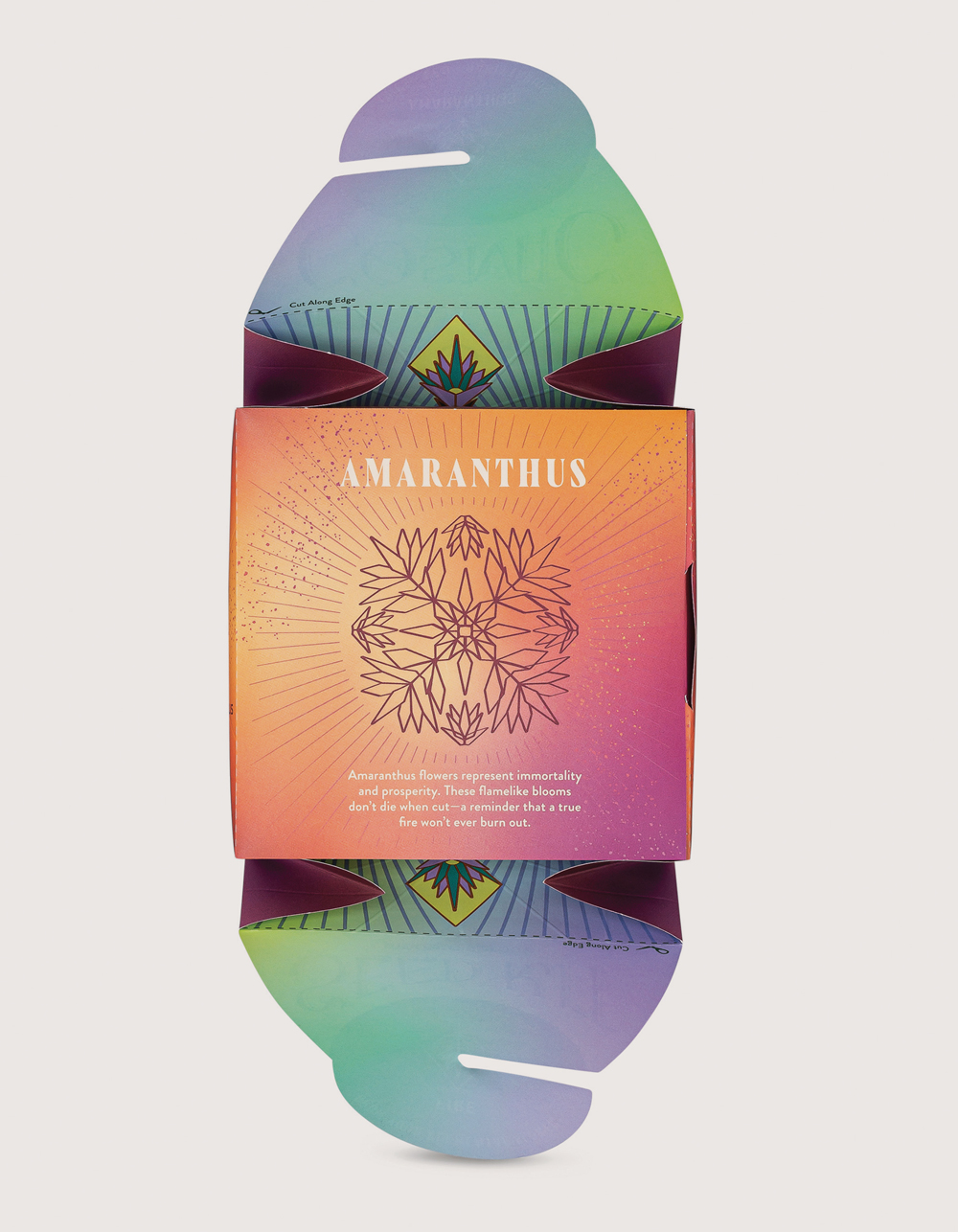 MODERN SPROUT Cosmic Seed Kit - Fire Amaranthus - FIRE AMARANTHUS | Tillys