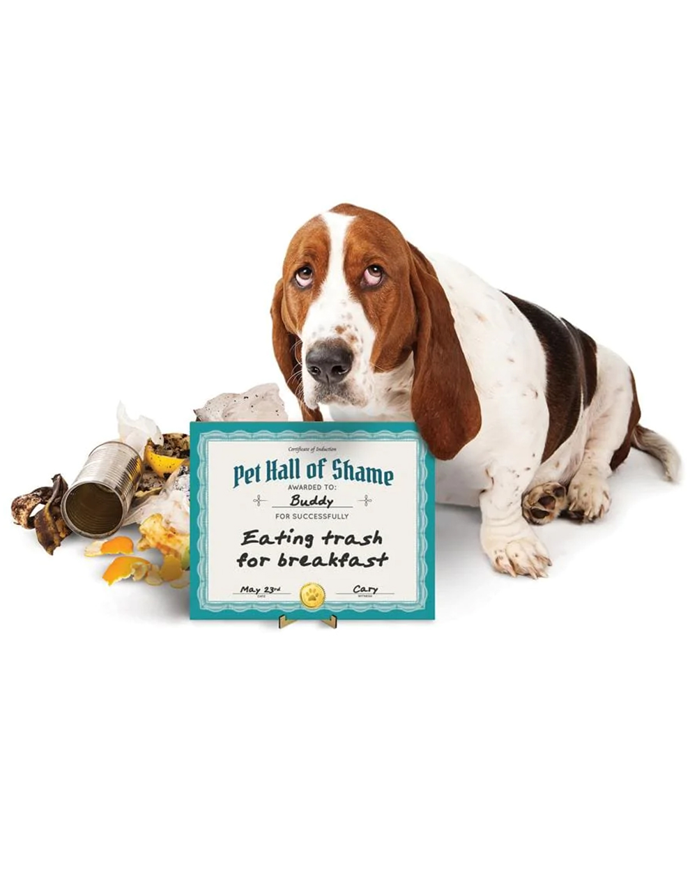 FRED & FRIENDS Pet Shaming Kit - MULTI | Tillys