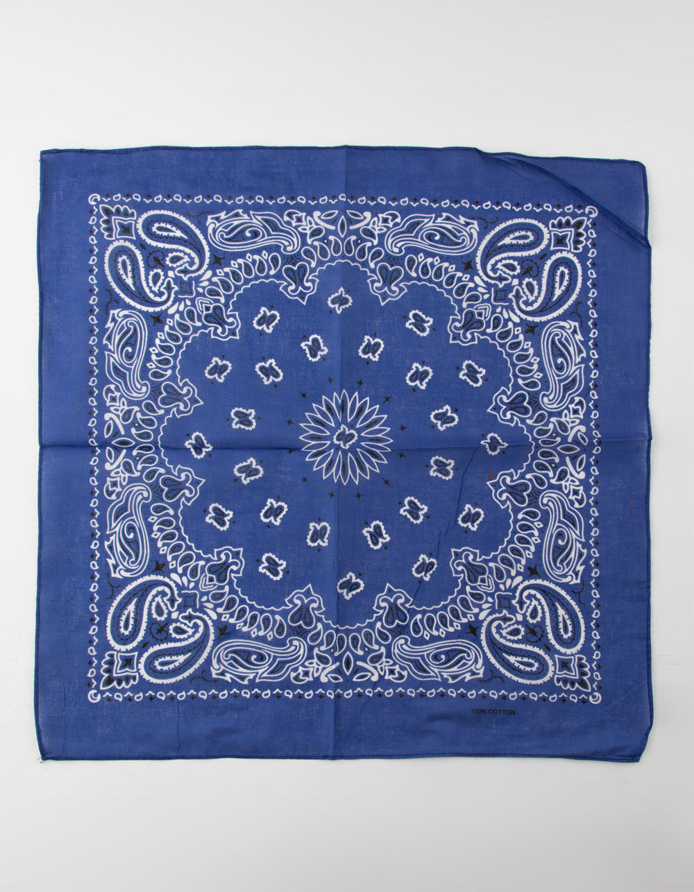 Blue Paisley Bandana - BLUE | Tillys