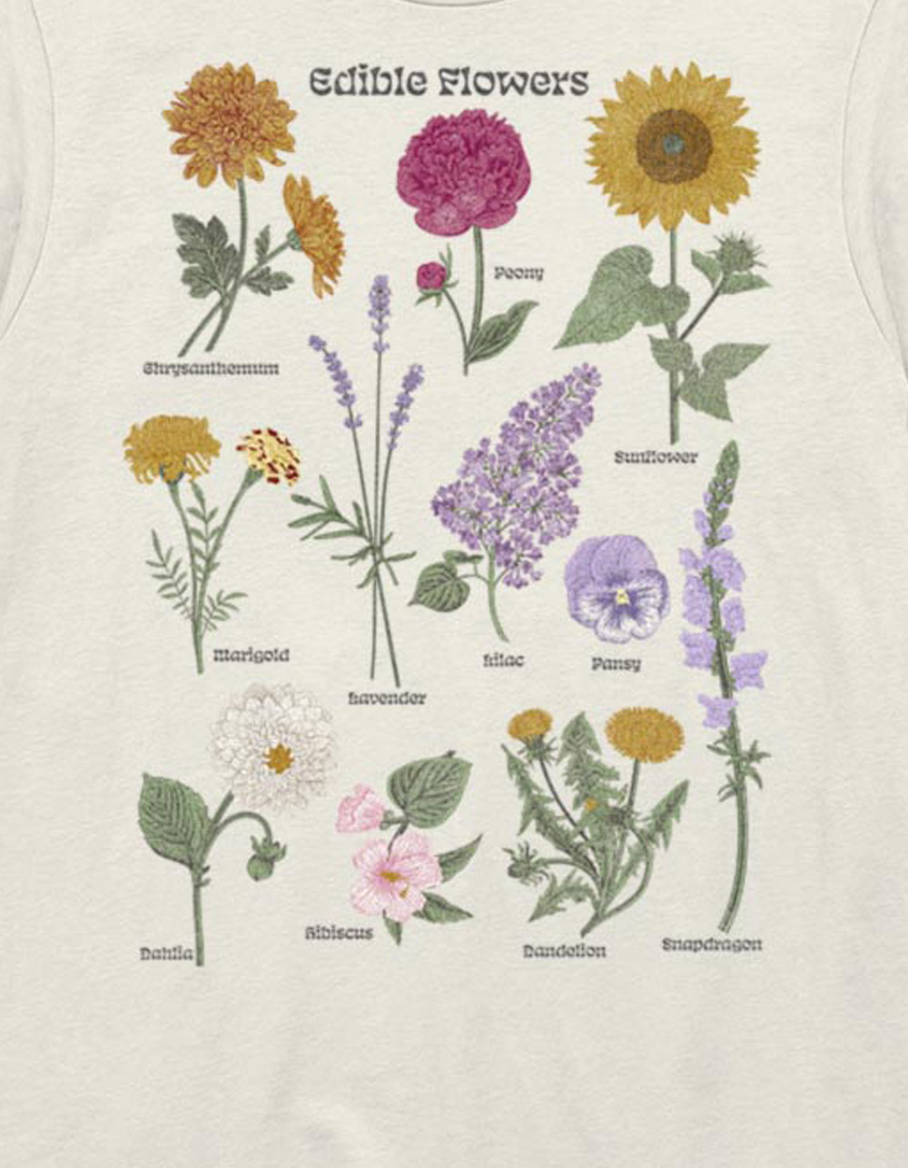 Edible Flowers Chart